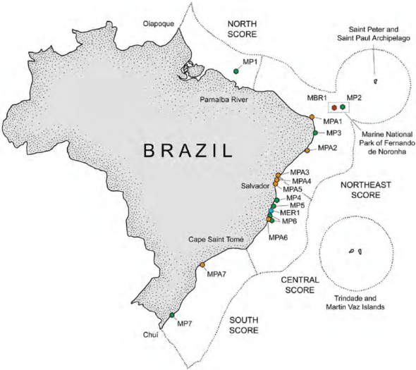 Brazil's New Biofouling Rules: What Ship Operators Need to Know ...